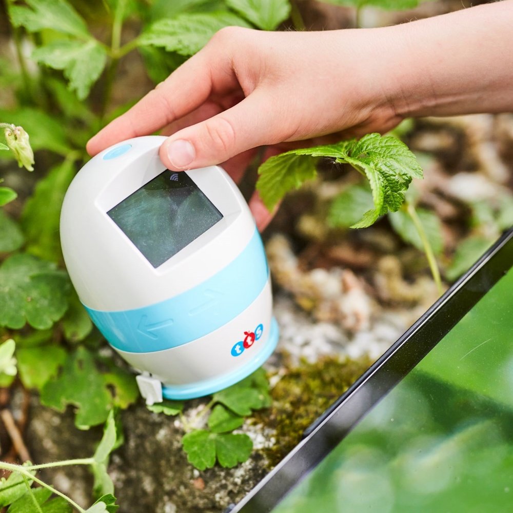 Digitalt Mikroskop Easi-Scope Trådlöst Webb-ägget med display WiFi